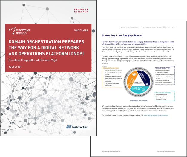 Domain Orchestration Prepares the Way for a Digital Network and Operations Platform (DNOP)